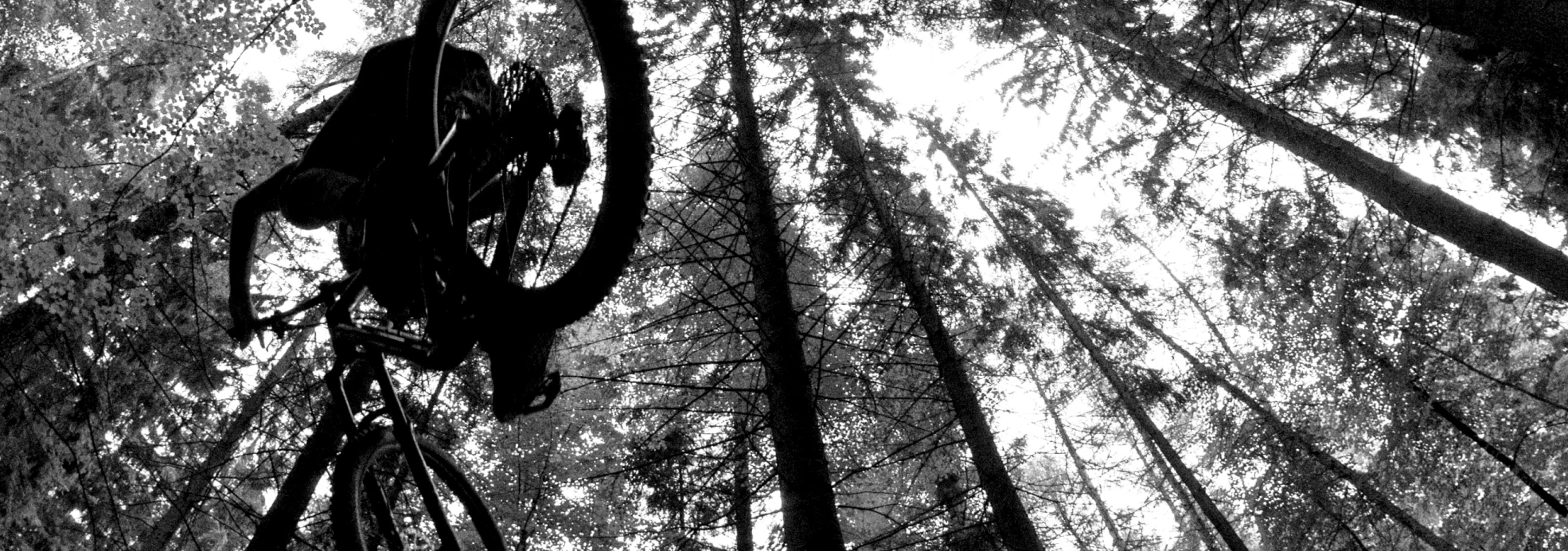 The History of Mountain Bikes - Everything Mountain Bikes